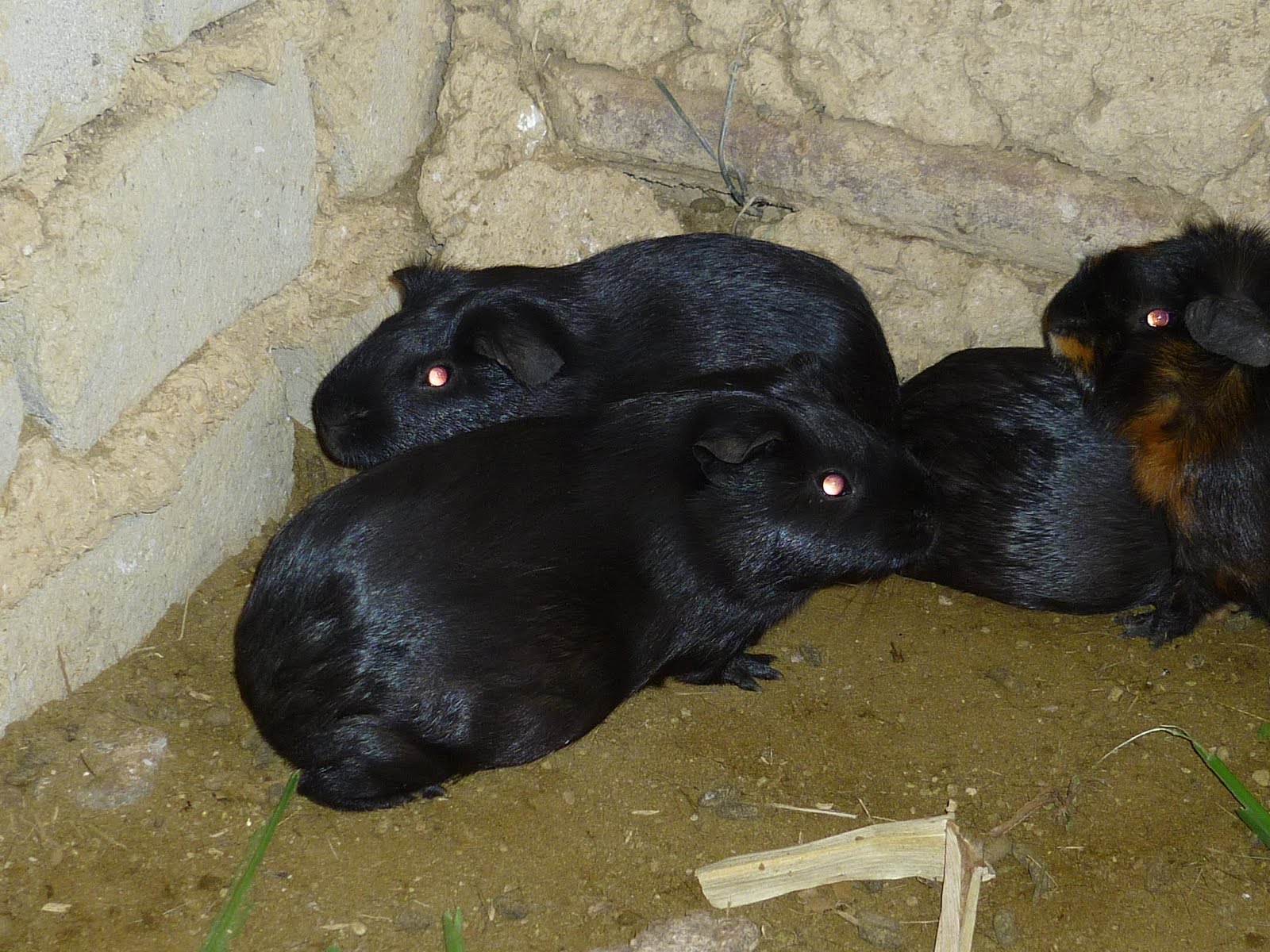 PIURAWEB NOTICIAS.... News on line